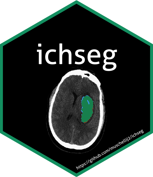 Neuroconductor: An R Platform for Medical Imaging Analysis